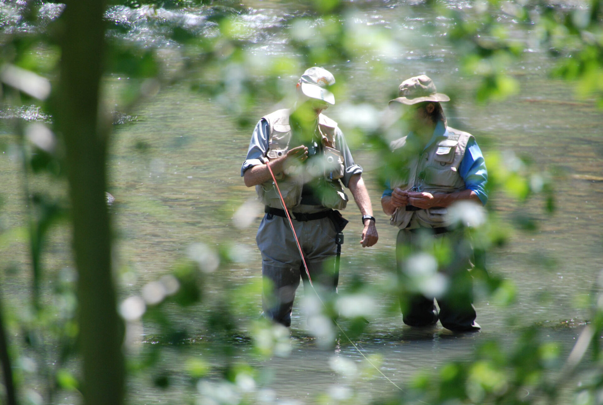 LARGE TROUT IN RIVER SEGRE - Carles Vivé Fly Fishing
